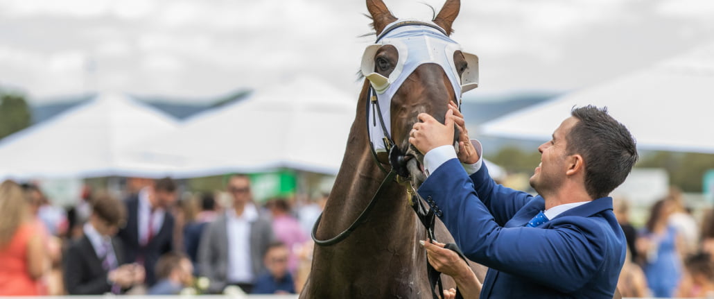 Horse Buying & Breeding Prospects | Michael Hickmott Bloodstock