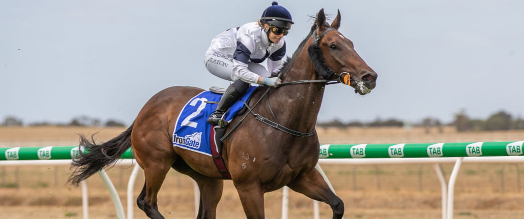 Horse Buying & Breeding Prospects | Michael Hickmott Bloodstock