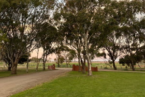 Our Locations | Horse Training | Michael Hickmott Bloodstock